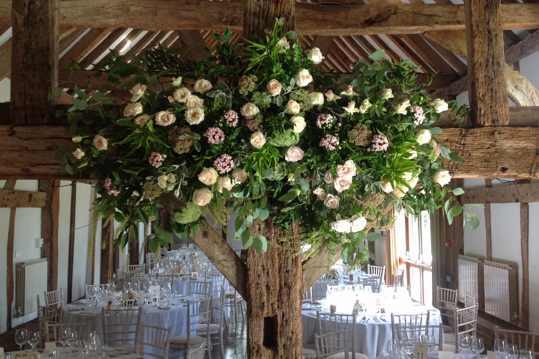 home-hero-rose-tree | Wild Bloom